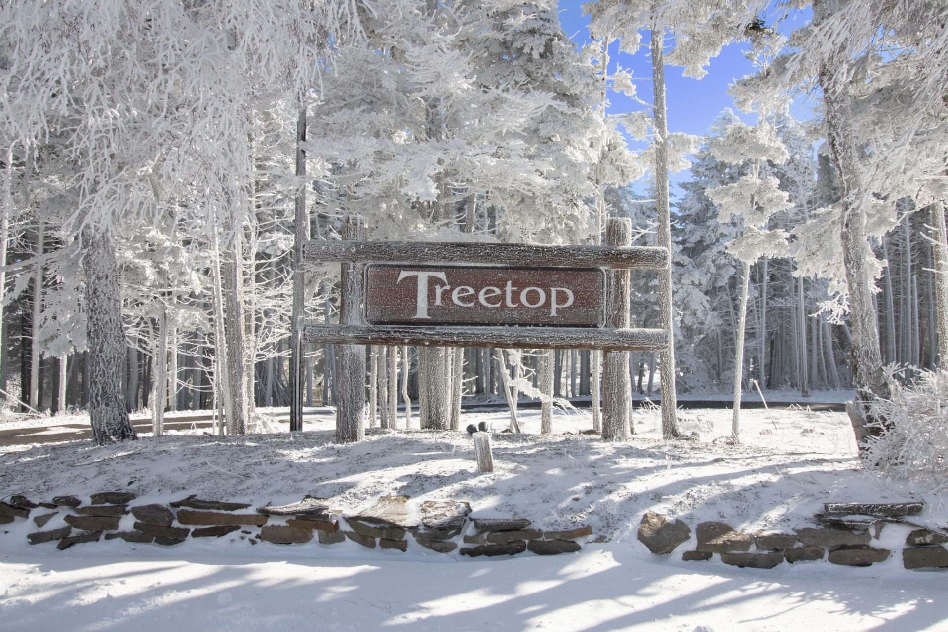 Treetop at Snowshoe - Snowshoe Real Estate